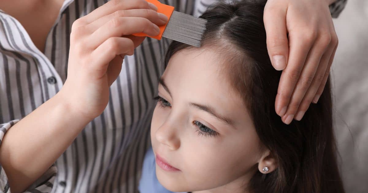 Effective lice treatment options
