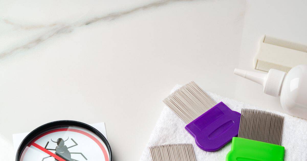 How to Tell if You Have Lice by Yourself: Lice Detection Tips