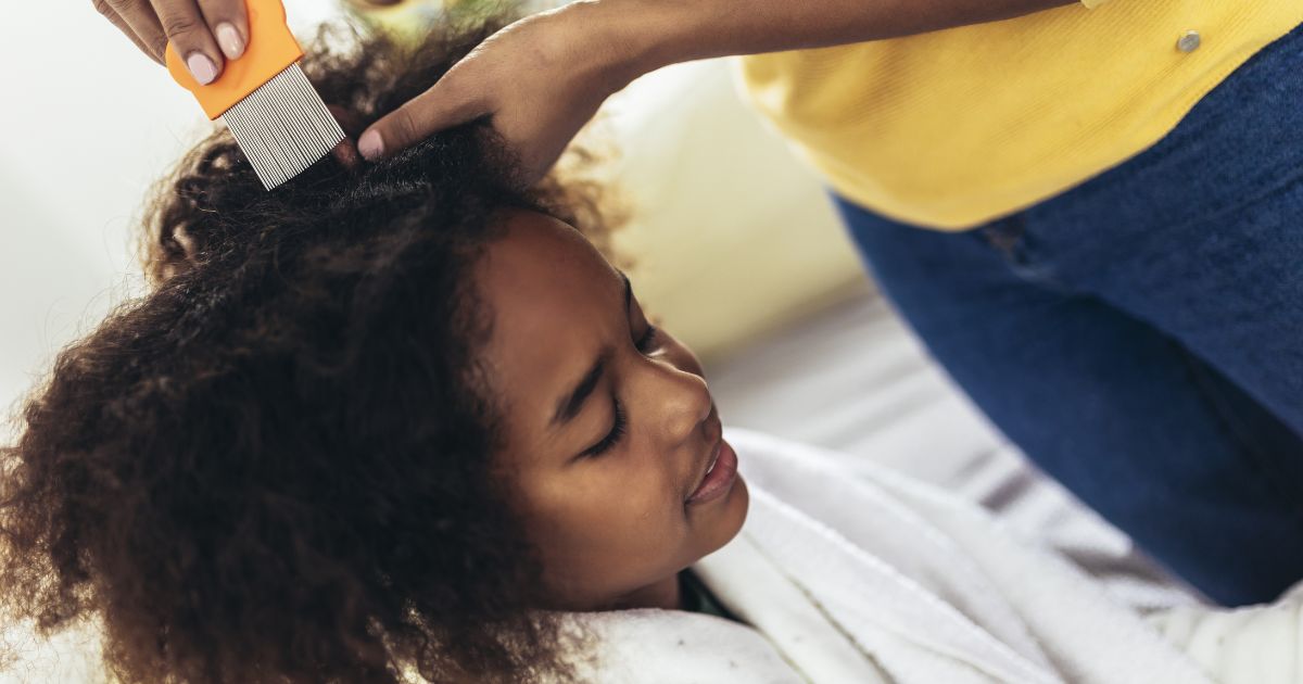 Lice Survival in Winter: Facts and Treatment Options
